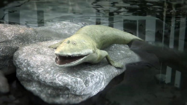 Enormous Ancient Fish Discovered by Accident – Bizarre-Looking and ...