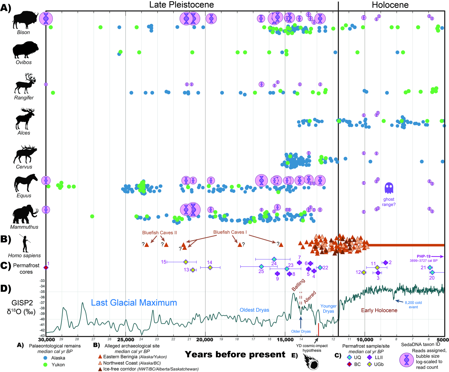Ancient DNA Suggests Woolly Mammoths Roamed the Earth More Recently ...