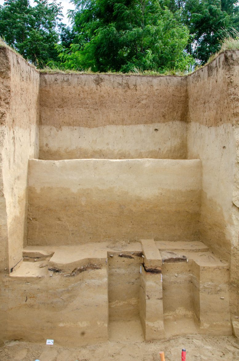 Ice Age Mystery: New Research Reveals How Humans Made Fire Tens of ...