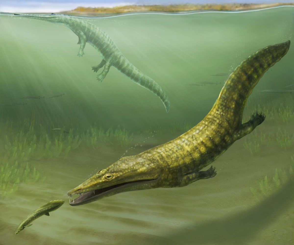 After Earth’s Greatest Extinction, These Sea Monsters Conquered the Oceans