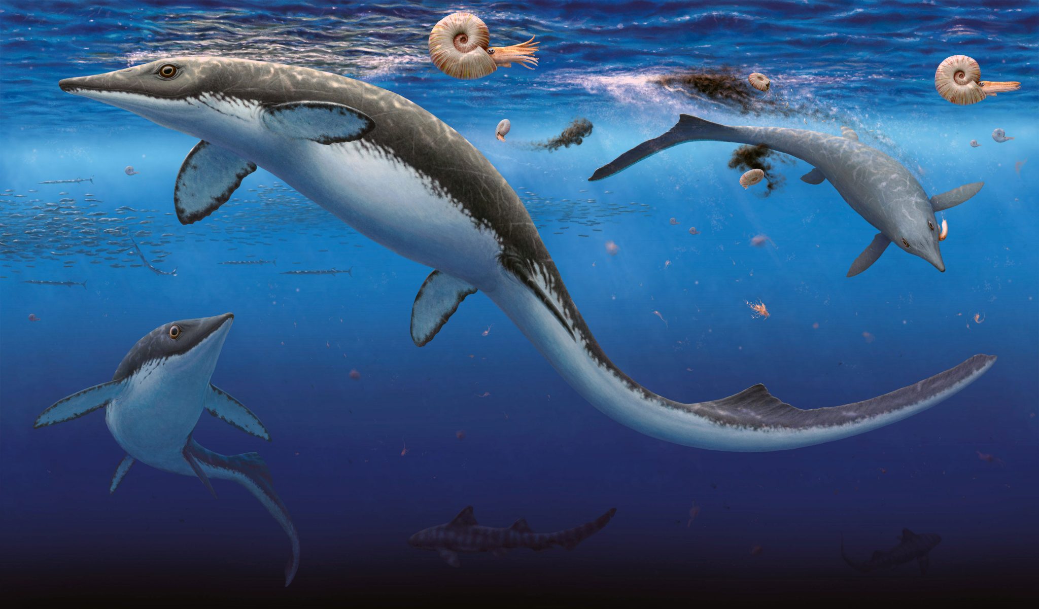Textbooks Were Wrong: 249-Million-Year-Old Fossil Discovery Upends ...