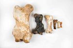 How Some Sloths Grew 20 Feet Tall – And What Wiped Them Out