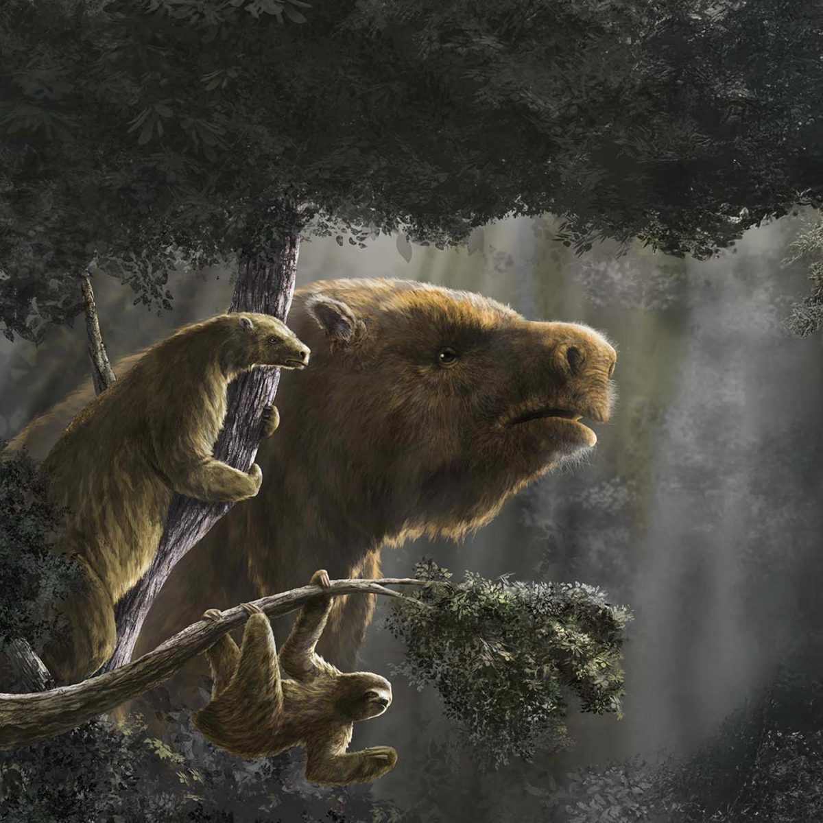 From a 20-Foot Poop Pile, Scientists Uncover the Secrets of Giant Sloths