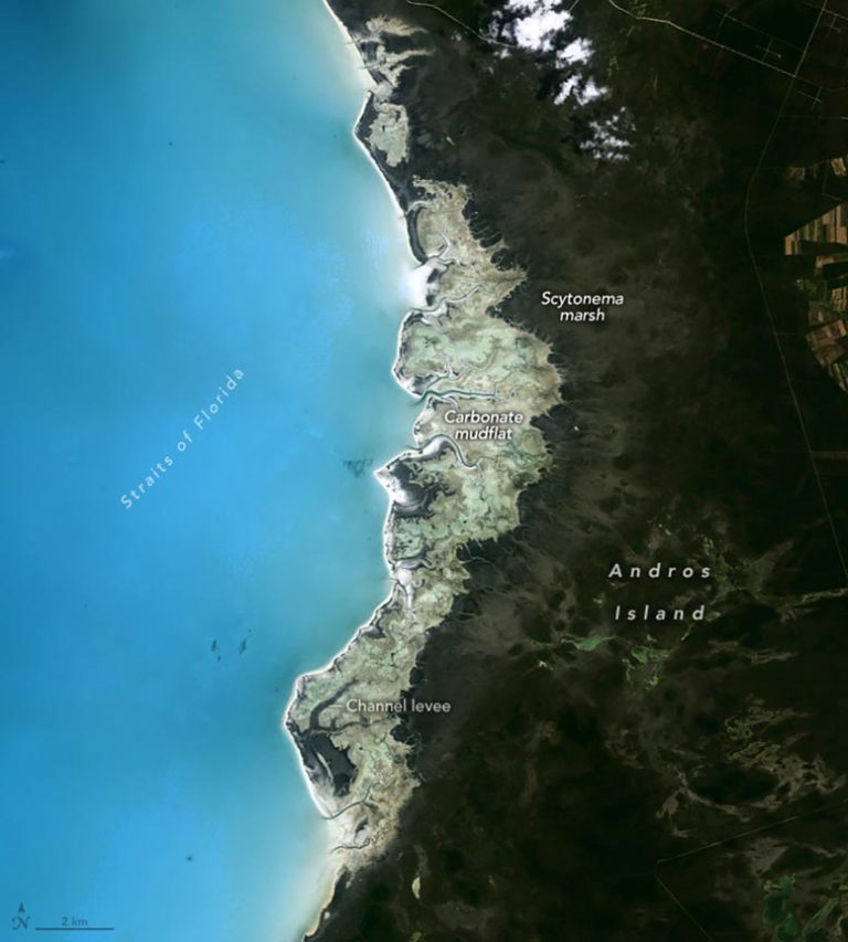 WWII Aerial Shots Expose 80 Years of Sea Level Rise in the Bahamas