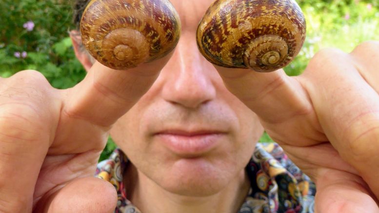 An Unexpected Haven: North Pacific “Garbage Patch” Teems With Life