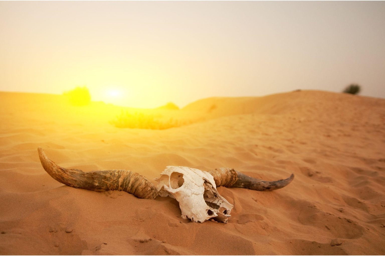 Geologists Discover a Critical Kill Mechanism Behind a 350 Million-Year ...