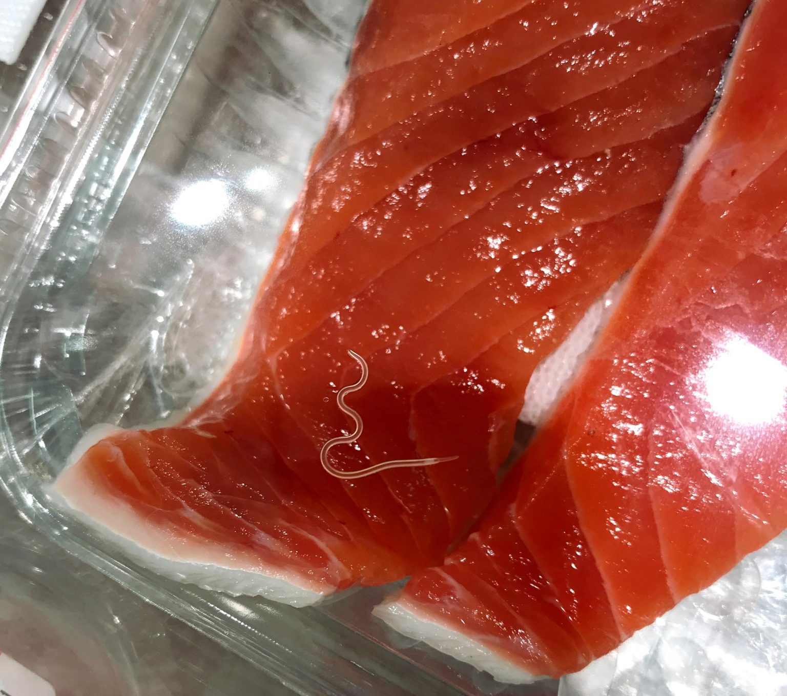 If You Eat Sashimi, Check for Worms: 283-Fold Increase in Sushi ...