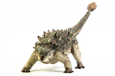 Newly Discovered Prehistoric Armored Dinosaur May Have Been Able to Dig