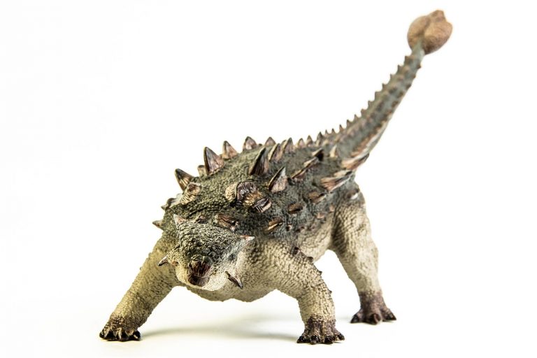 Newly Discovered Prehistoric Armored Dinosaur May Have Been Able to Dig
