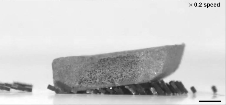 Watch: “Ant-Like” Robot Swarms Lift Heavy Objects With Herculean Strength