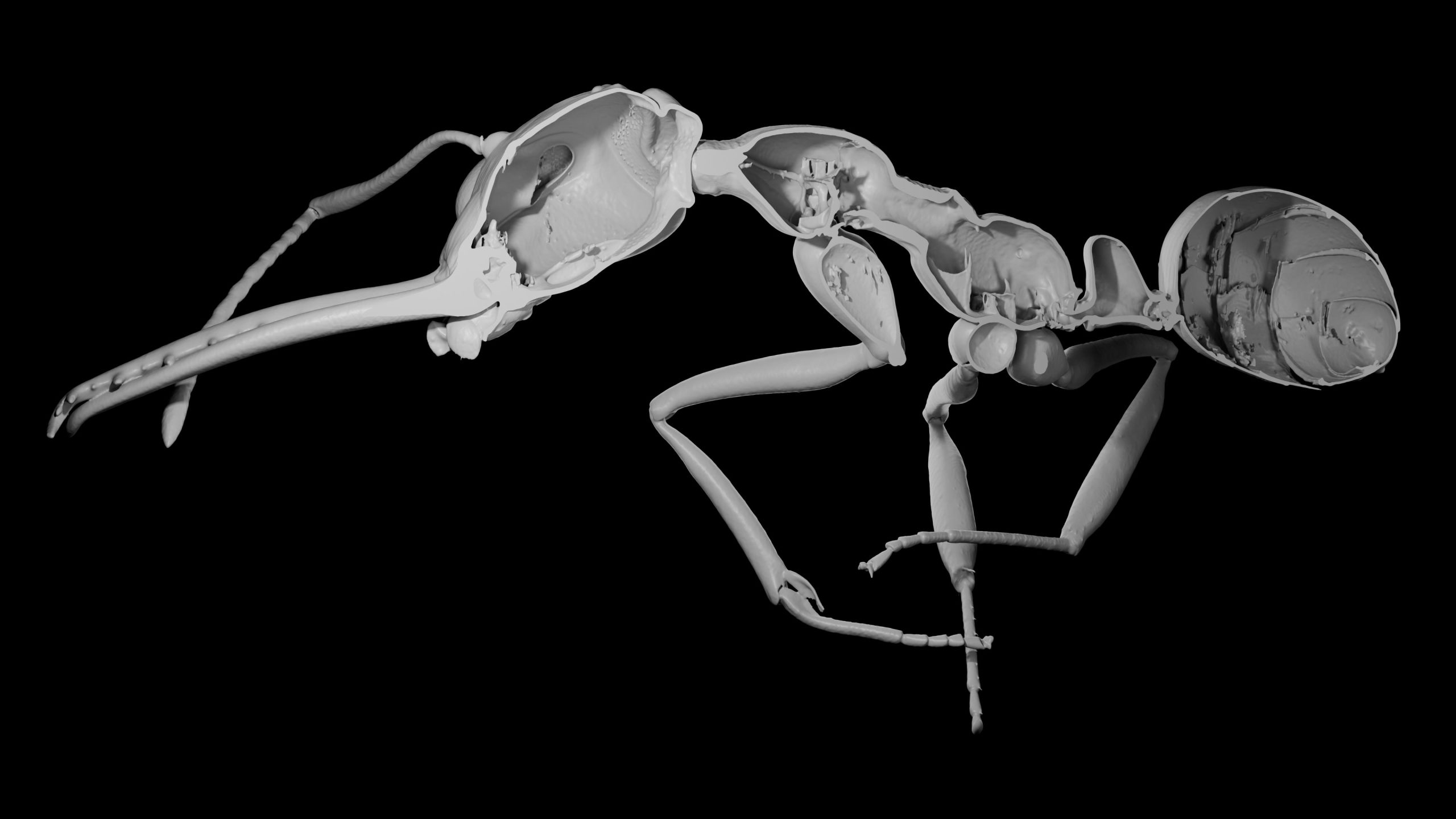 SciTechDaily - Preston Media Database - Intelligent Relations