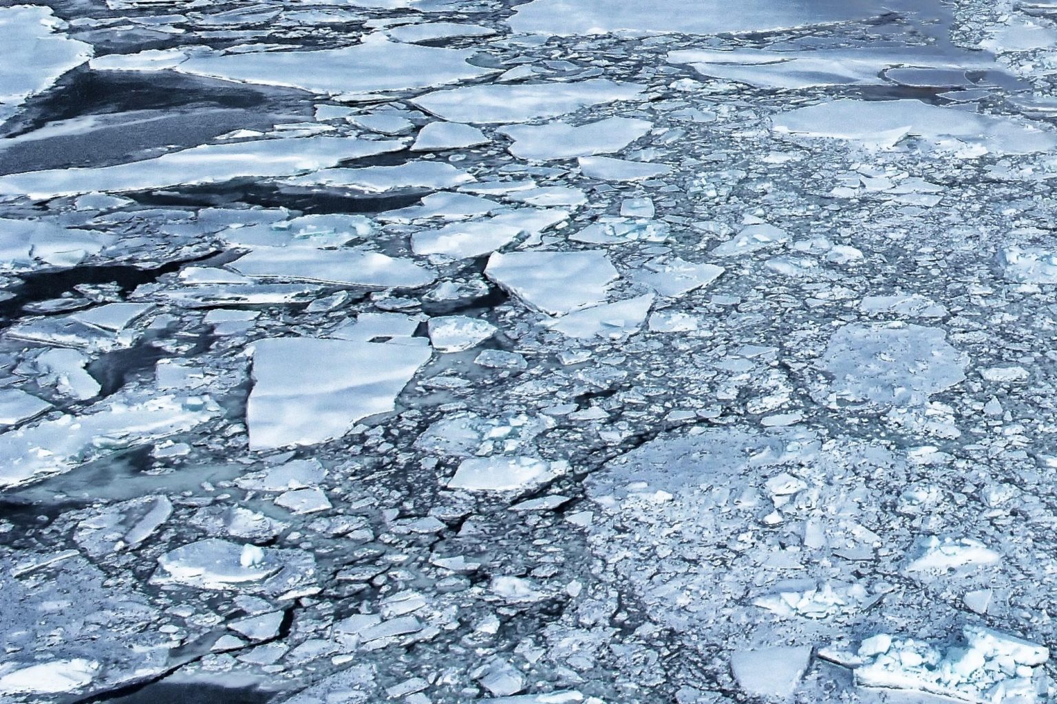 MIT Identifies Counteracting Effect: Antarctic Sea Ice May Not Cap ...