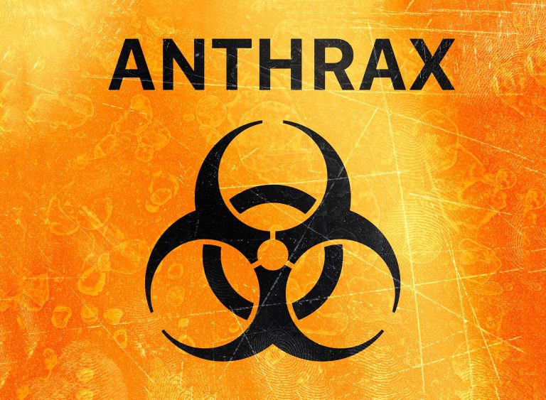 Engineering an Enzyme To Treat Anthrax Without Antibiotics