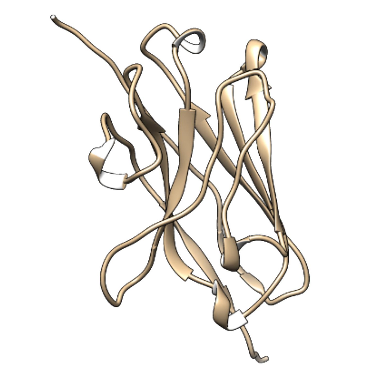 Mini Antibodies Produced by a Llama and Isolated by Neuroscientists ...
