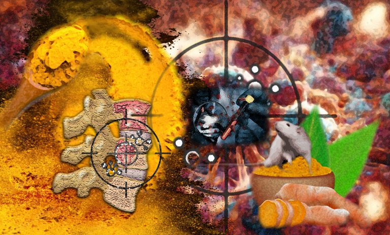 Anti-Tumor Effects Without Toxicities: Researchers Use a Spice To Treat ...