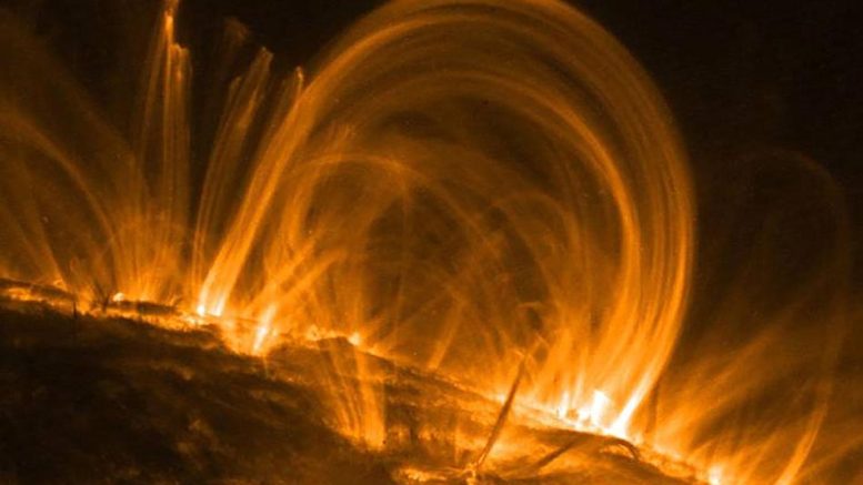 Image of Magnetic Loops on the Sun