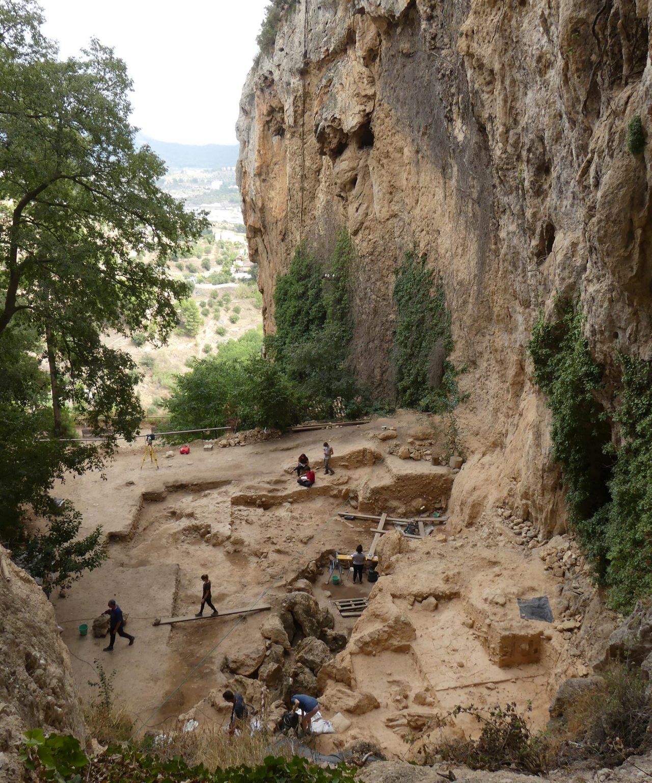 Analyzing Ancient DNA From 50,000-Year-Old Poop Reveals Secrets of ...