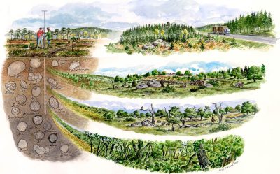 Unlocking Ancient Landscapes: How Hazelnut Shells Reveal Our Ancestors ...