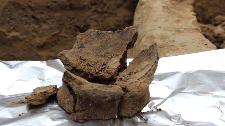 10,000 Years Ago – Ancient Stone Tools Provide the Earliest Evidence of ...