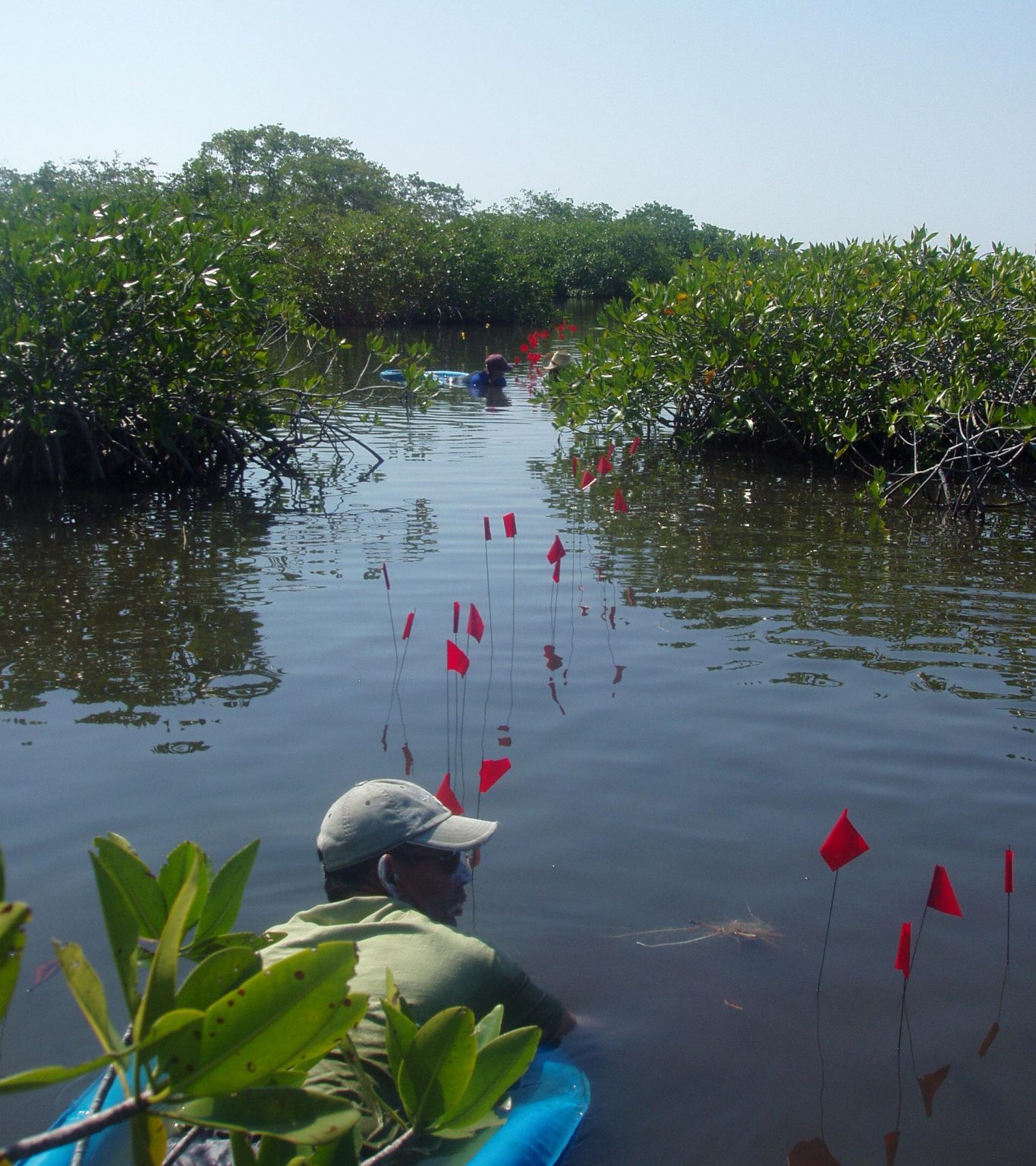 Mural Painted More Than 2,500 Years Ago Depicts Salt as an Ancient Maya ...
