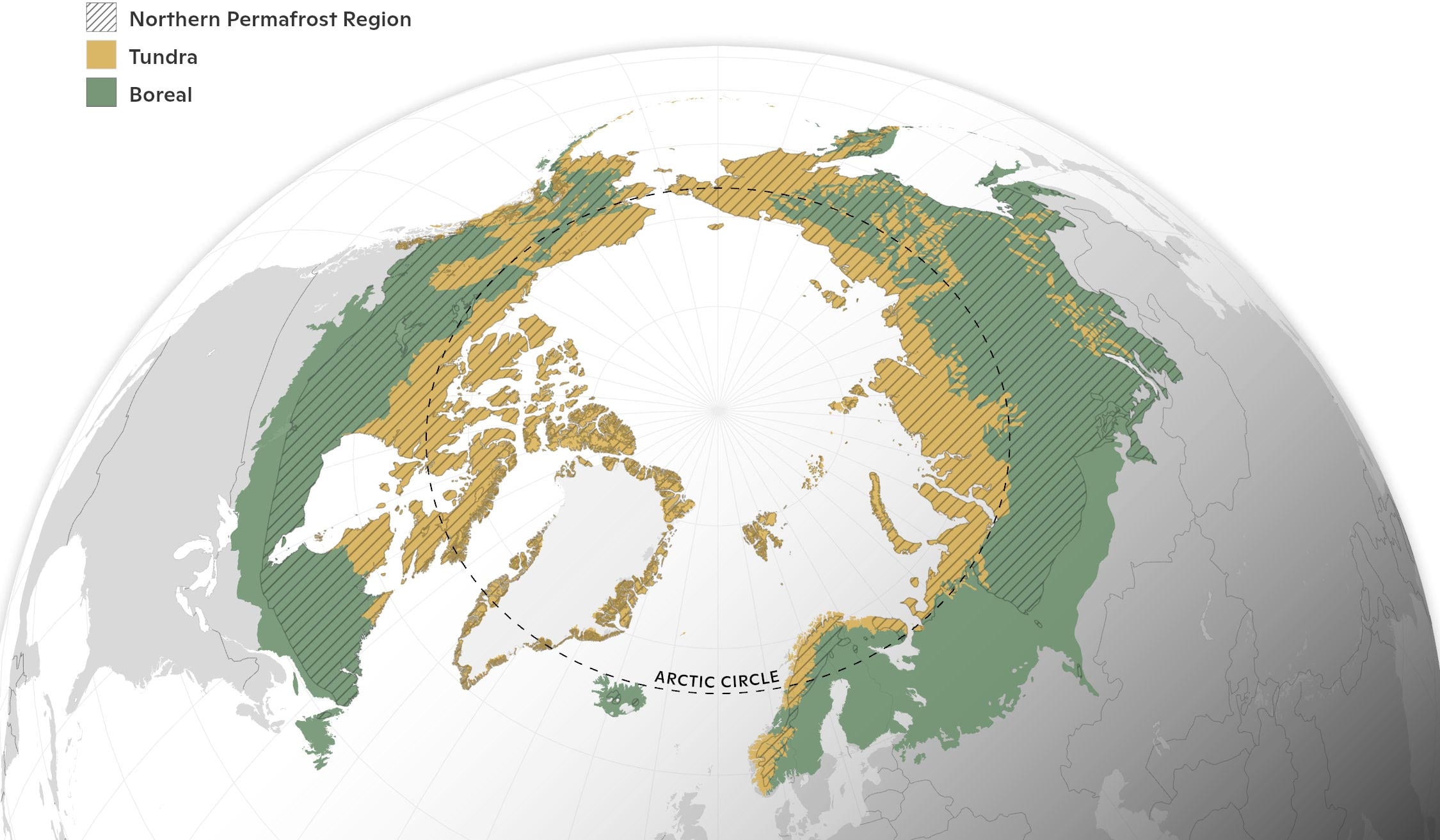 Thawing Permafrost Sparks Massive Carbon Release in the Arctic