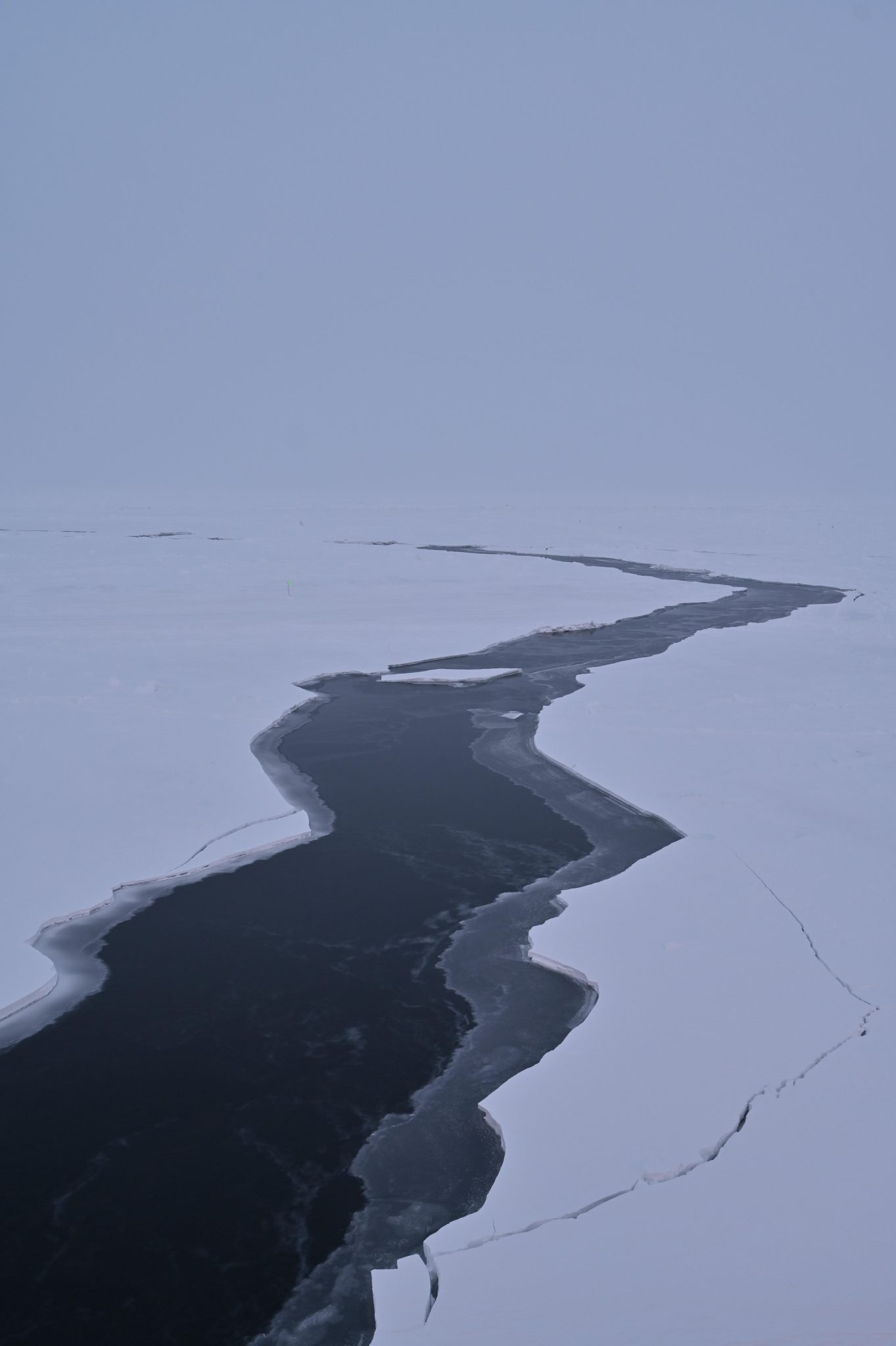 New Data Reveals an Arctic “Treasure Trove”