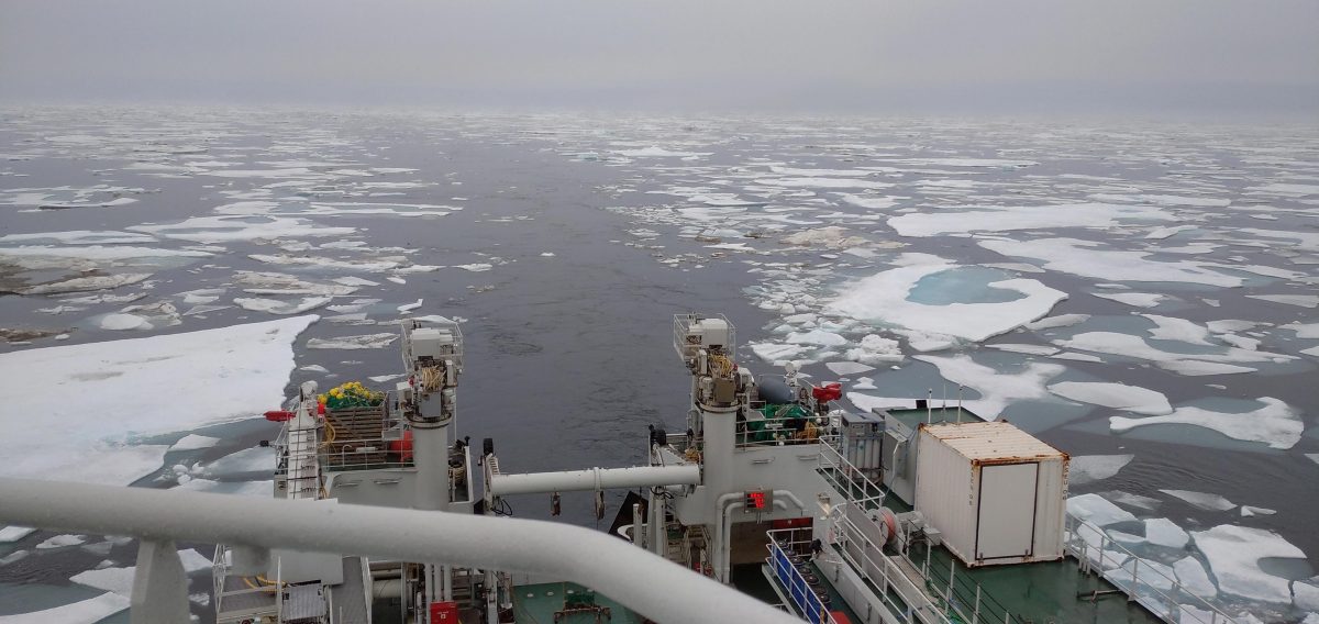 Scientists Discover Promising Antibiotic Compounds Deep in the Arctic Sea