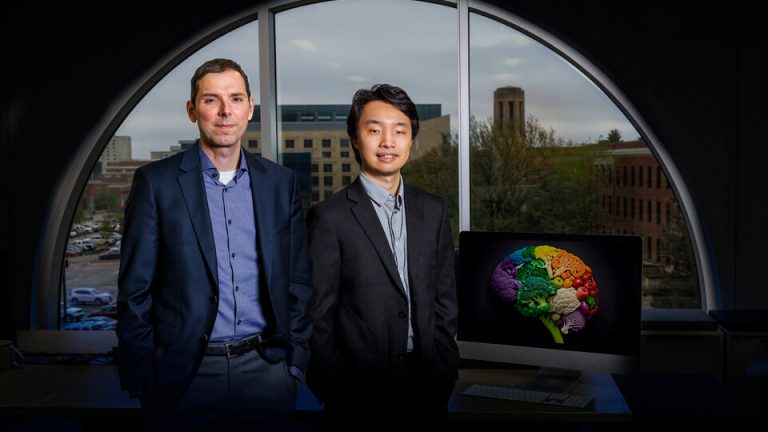 Turning Back Time: Study Links Key Nutrients to Slower Brain Aging