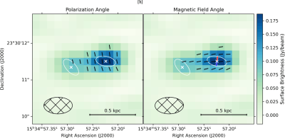 The Magnetic Secret Behind Star Formation Uncovered