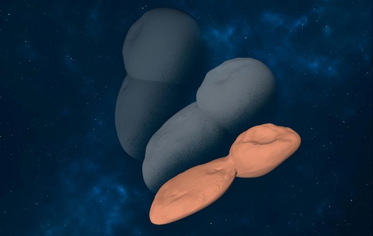 Evolutionary Origin of Flattened “Snowman” Kuiper Belt Object Arrokoth