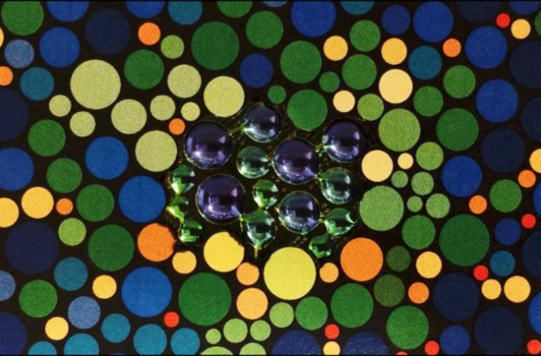 Active Camouflage Using a Polymer Network of Liquid Crystals