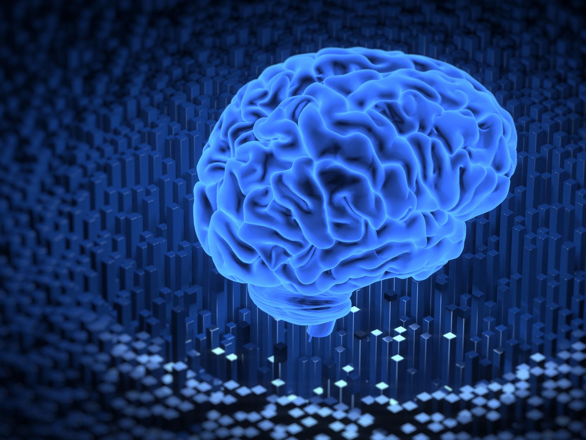Artificial Brain Reveals Why We Can t Always Believe Our Eyes And