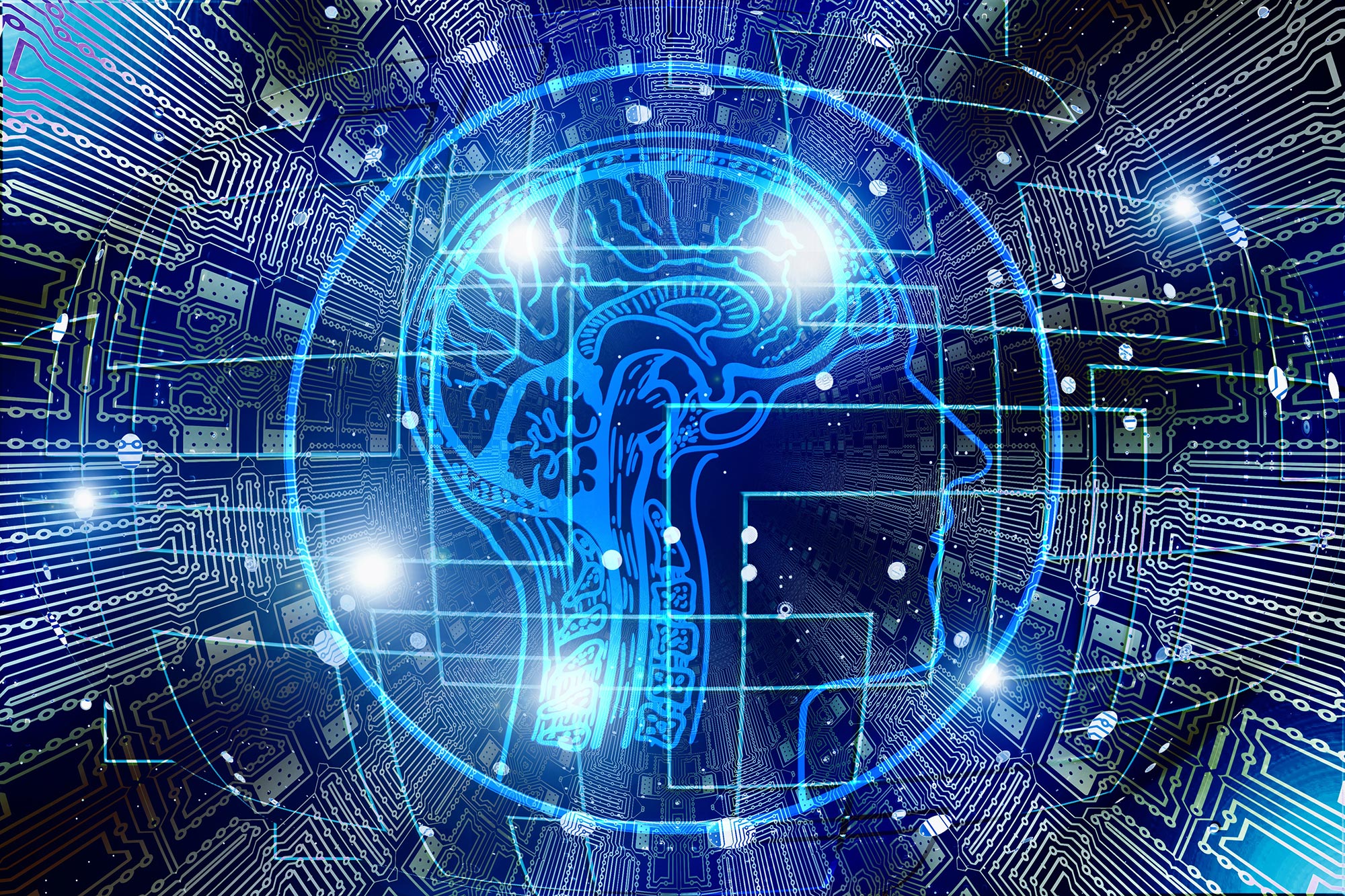 Harvard Developed Clinical AI Performs On Par With Human Radiologists Harvard Developed Clinical AI Performs On Par With Human Radiologists