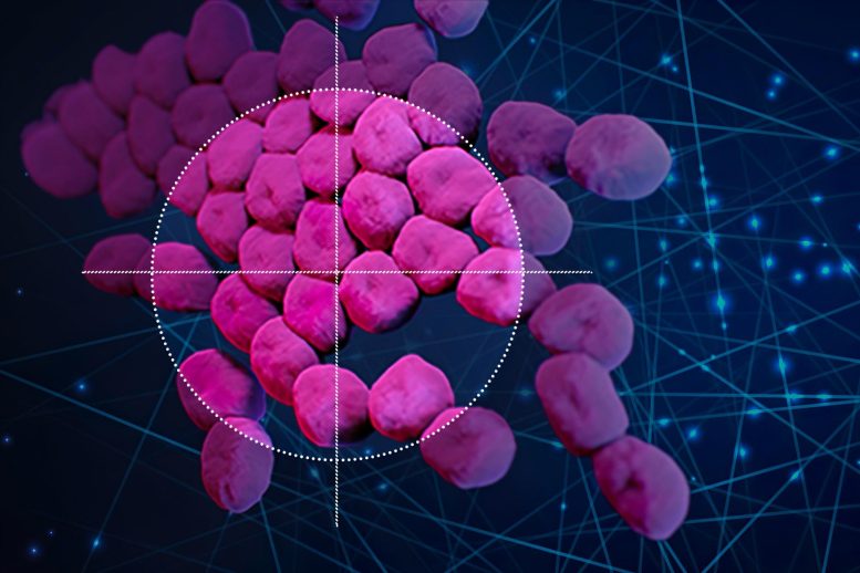 AI Battles Superbugs: Helps Find New Antibiotic Drug To Combat Drug ...