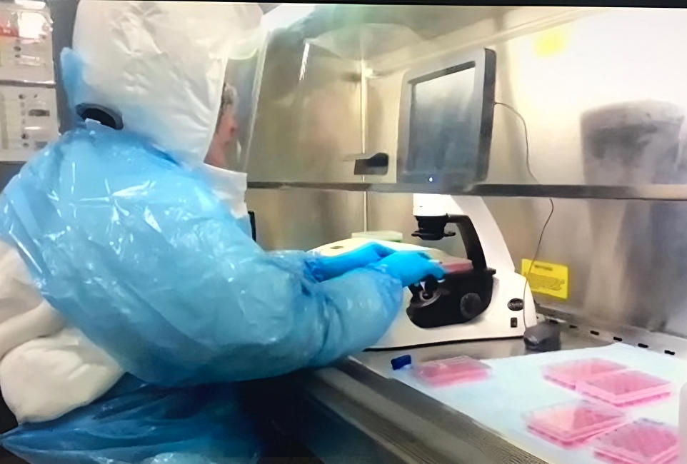 New AI-Generated T-Cell Vaccine Showcases Long-Lasting Immunity Against ...