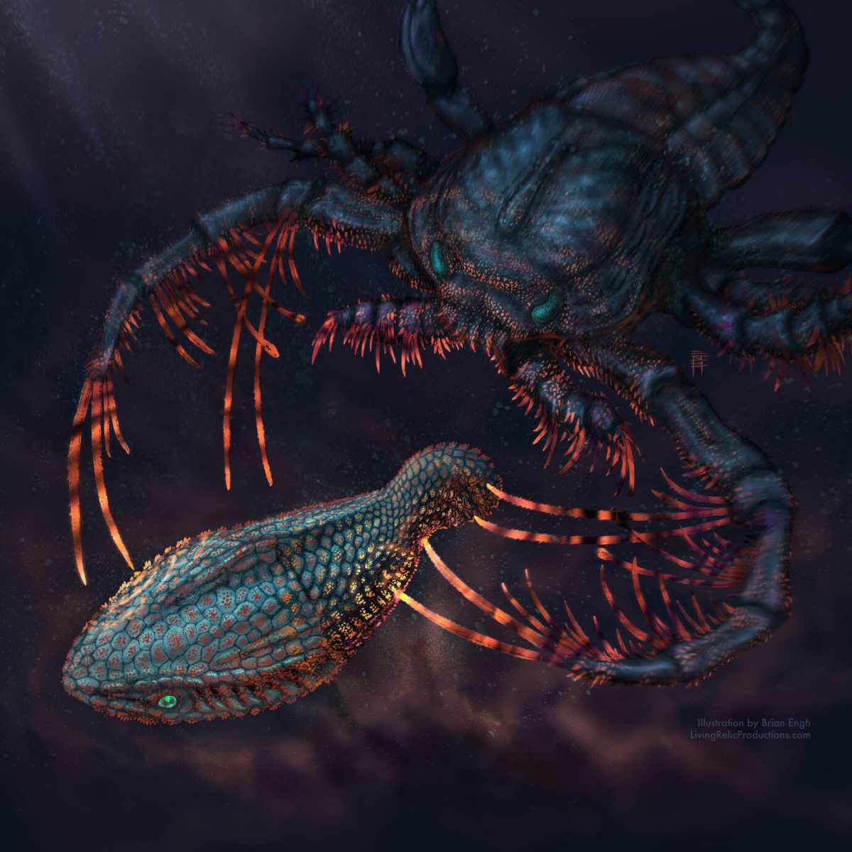 Paleontologists Uncover 465-Million-Year-Old Secret: The True Purpose ...
