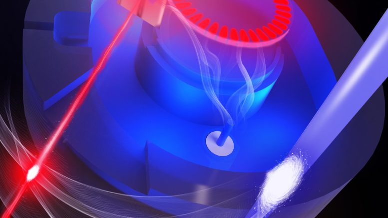 Quantum Interference Phenomenon Identified That Occurs Through Time