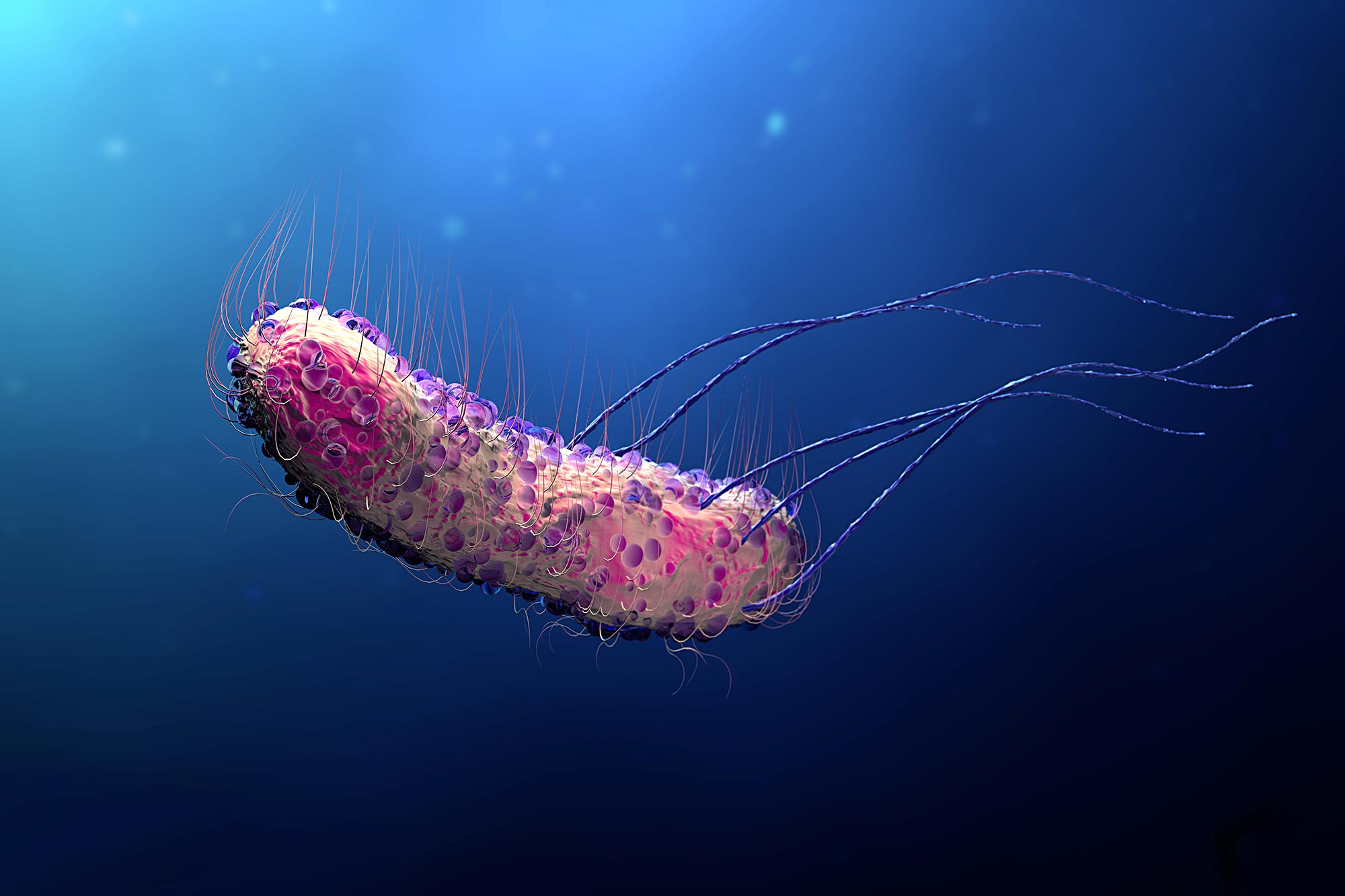 Failure Against “Nightmare Bacteria” a Chilling Commentary on Future of ...