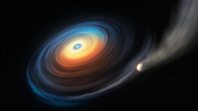 Hubble Image of the Week - White Dwarf Stein 2051 B