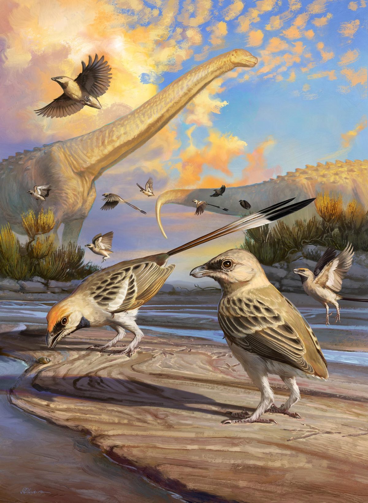 “One-of-a-Kind” Fossil Discovery Could Solve the Mystery of Modern Bird ...
