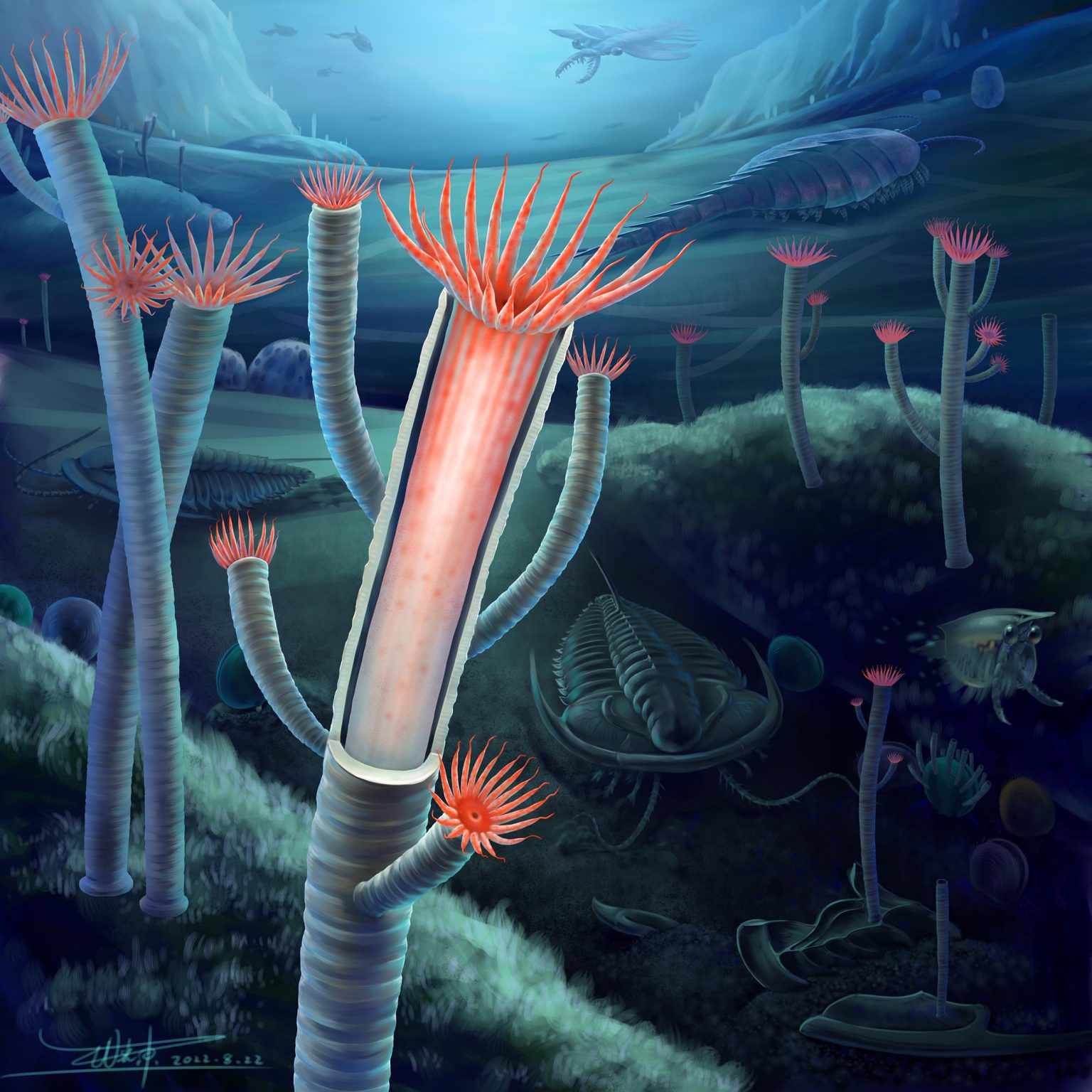 500 Million Year-Old Fossils Solve a Centuries-Old Riddle in the ...