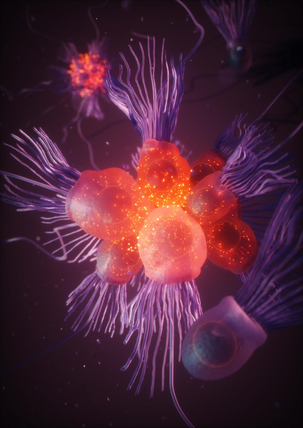 Primitive “Nervous System” Found in Closest Relatives of Animals