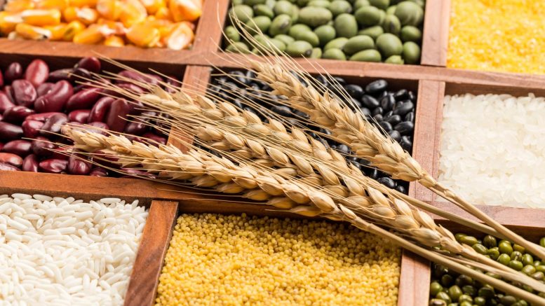 Whole Grains Confusion: New Study Highlights Need for Consensus on ...