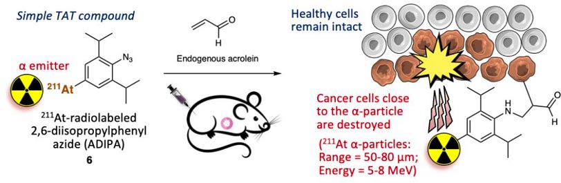 Japan’s Alpha Particle Assassin: New Treatment for Multiple Types of Cancer