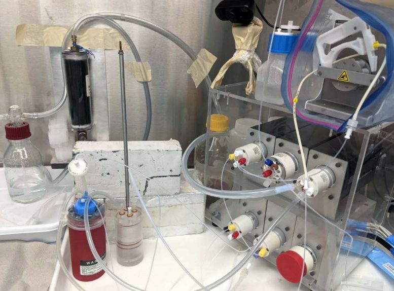 Scientists Unlock the Cancer-Fighting Power of the Rarest Element on Earth