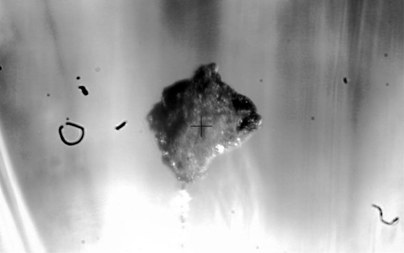 How Tiny Fragments Unlocked the Hidden 4-Billion-Year History of ...