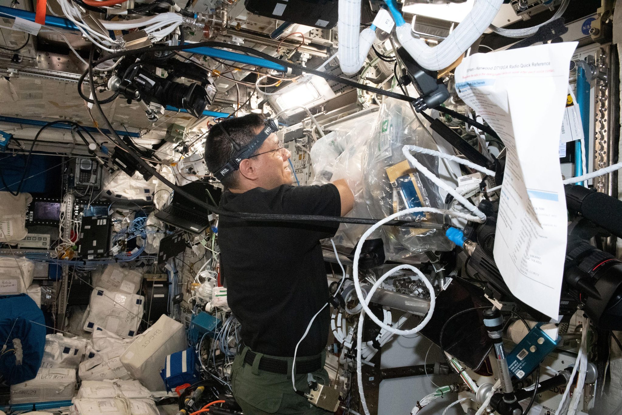 NASA’s Record-Breaking Astronaut: Scientific Highlights of Frank Rubio ...