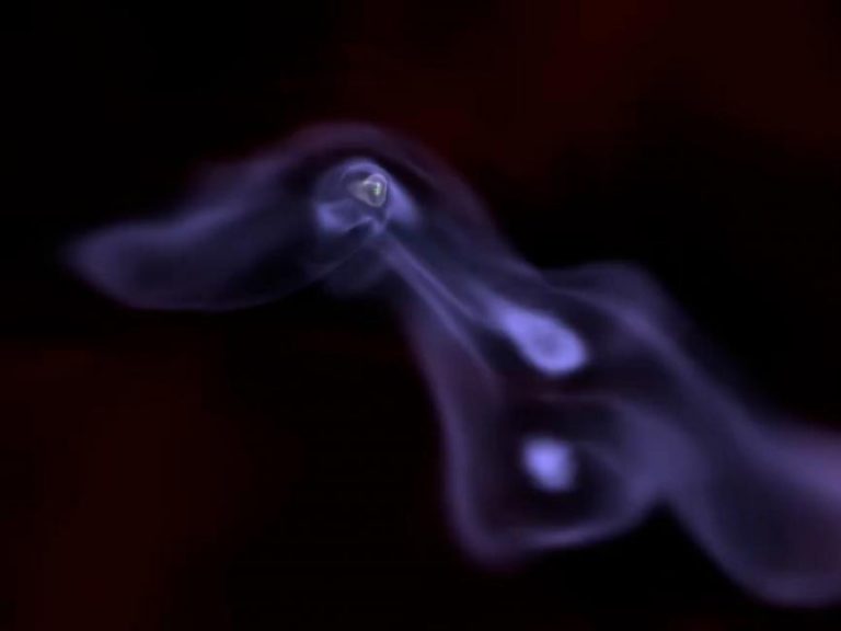 Astronomers View the Formation of a Quadruple Star System