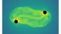 Astronomers Investigate Gravitational Wave-Inducing Black Holes