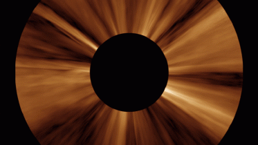 Solar Coronal Rain on Our Sun Links Two Mysteries